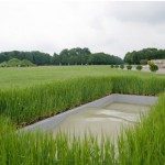 Sea and Fog: The Art of Etel Adnan – The Paris Review