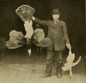 All the President’s Turkeys by Dan Piepenbring