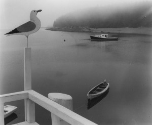 Five Photographs by Ellen Auerbach