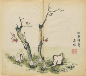 The World’s First Multicolor-Printed Book, from 1633