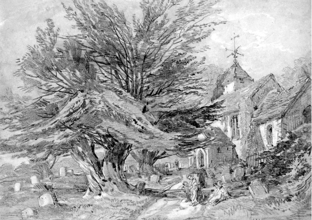 The History of the Yew Tree, “The Tree of the Dead”