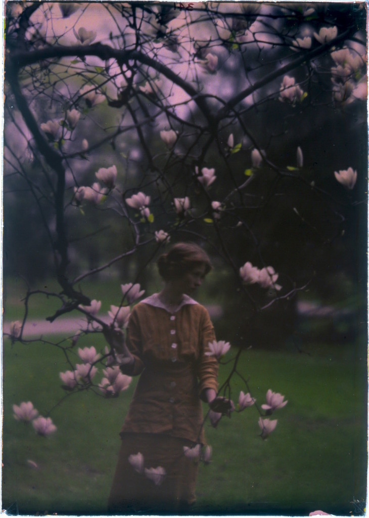 A Day in Edna St. Vincent Millay’s Gardens at Steepletop