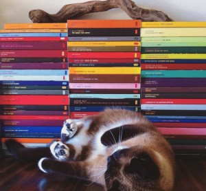 The Art of the Reissue: An Interview with Edwin Frank