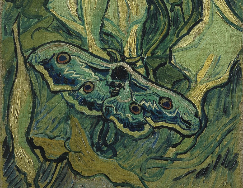 Want to Know True Beauty? Take a Look at a Moth