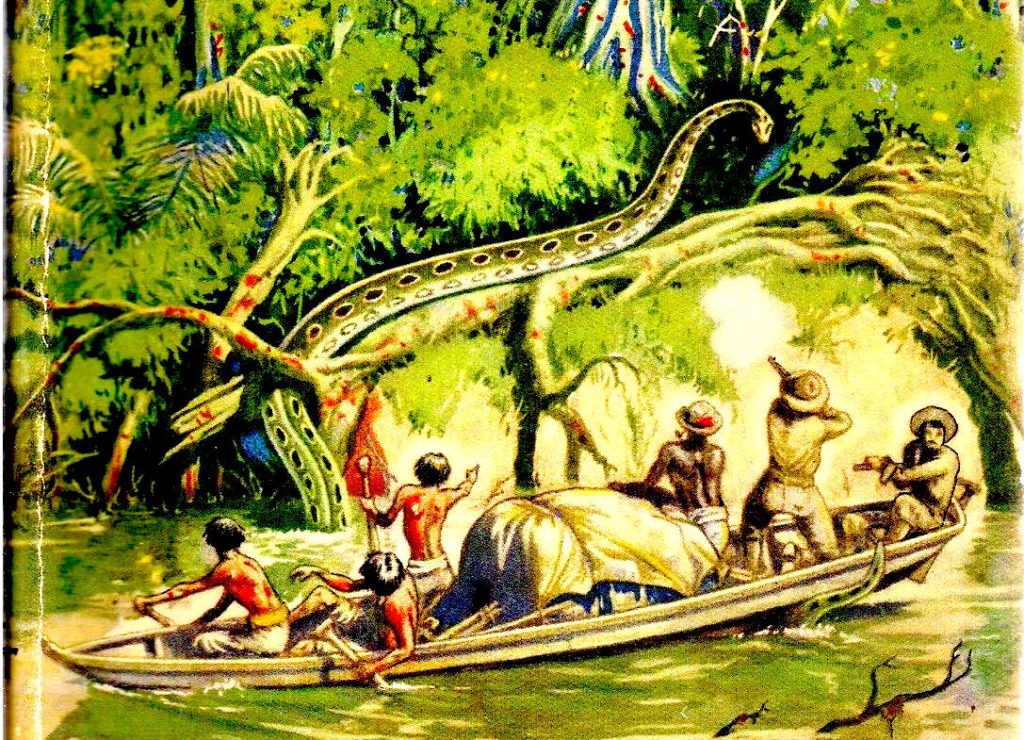 Why We Keep Looking for Lost Jungle Cities