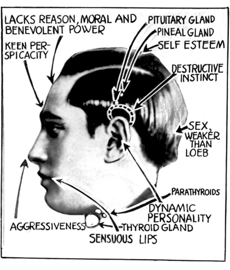 Reopening the Case Files of Leopold and Loeb