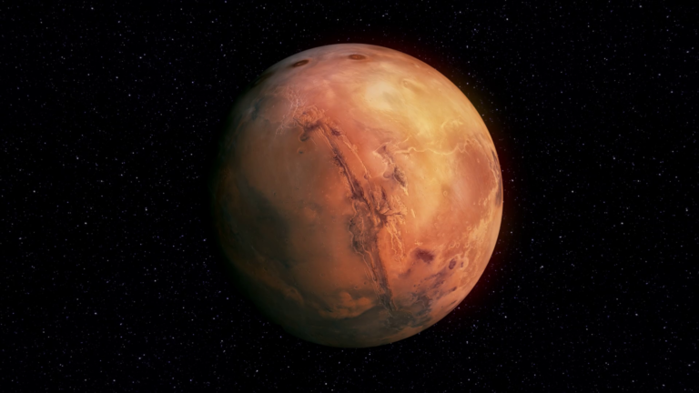 Objects of Despair: Mars by Meghan O’Gieblyn