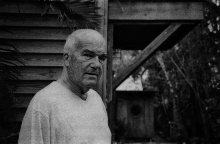 Redux: Sulfurous Coils of Red and Green by The Paris Review