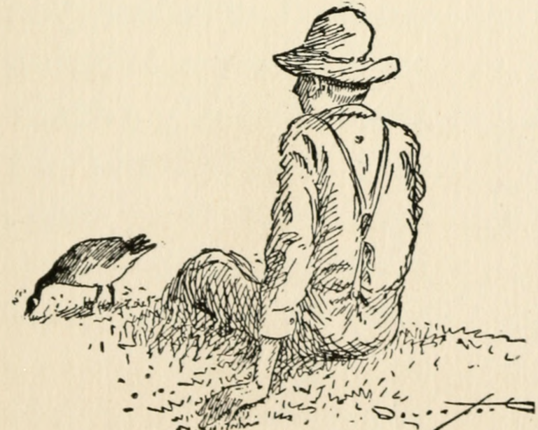 A Taxonomy of Country Boys by Drew Bratcher