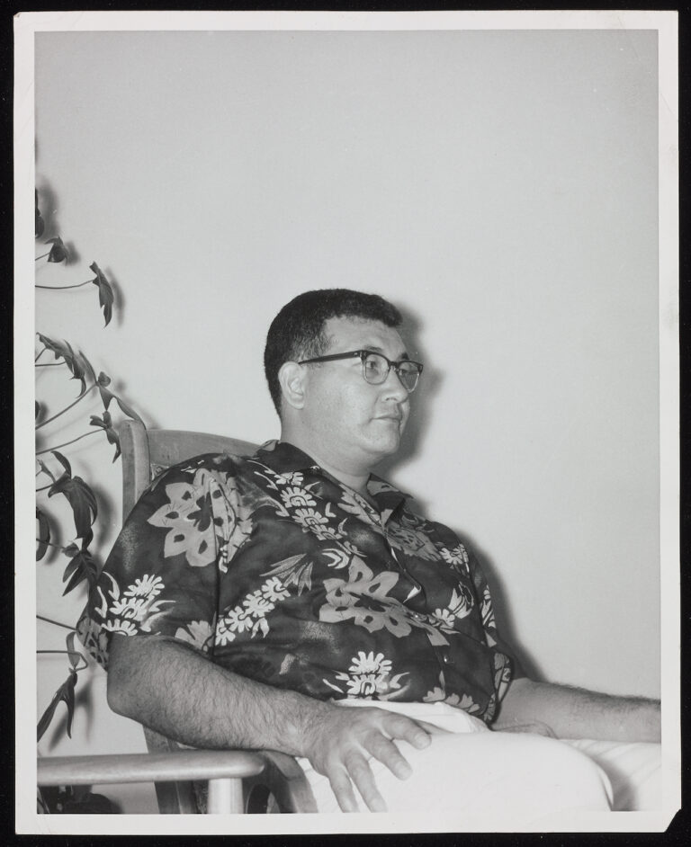 The Novels of N. Scott Momaday by Chelsea T. Hicks