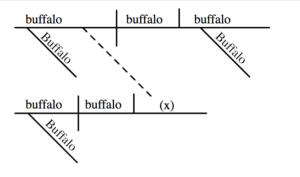 Our Favorite Sentences by The Paris Review