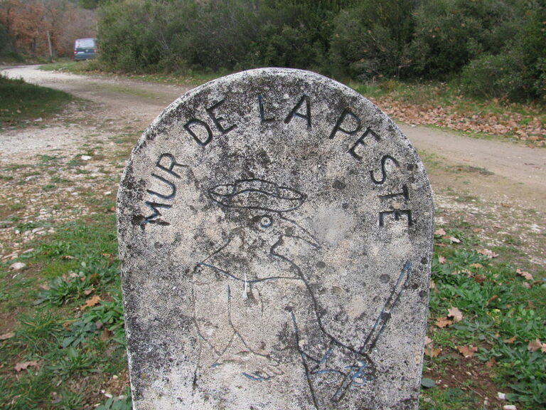 Deep Emotion, Plain Speech: Camus’s The Plague by Laura Marris