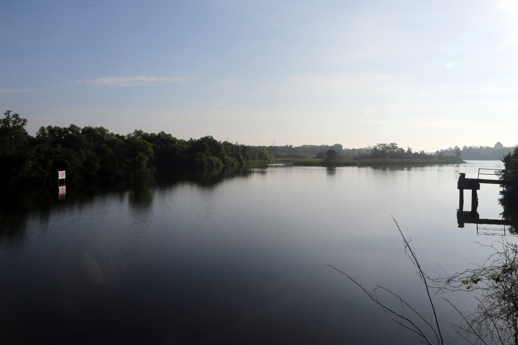 Mapping Africatown: Albert Murray and his Hometown by Nick Tabor and ...