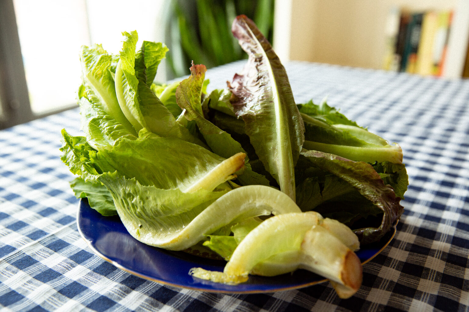 Cooking with Elizabeth David by Valerie Stivers