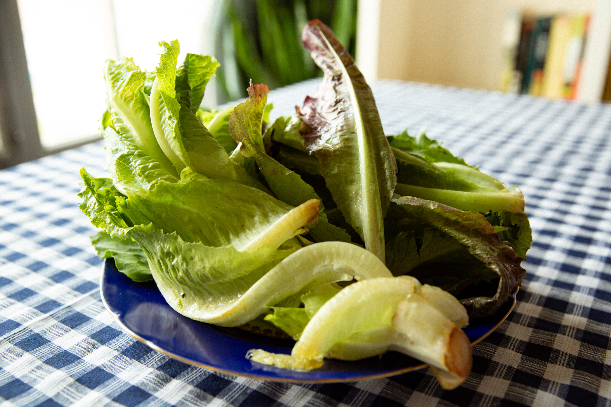 Cooking with Elizabeth David by Valerie Stivers