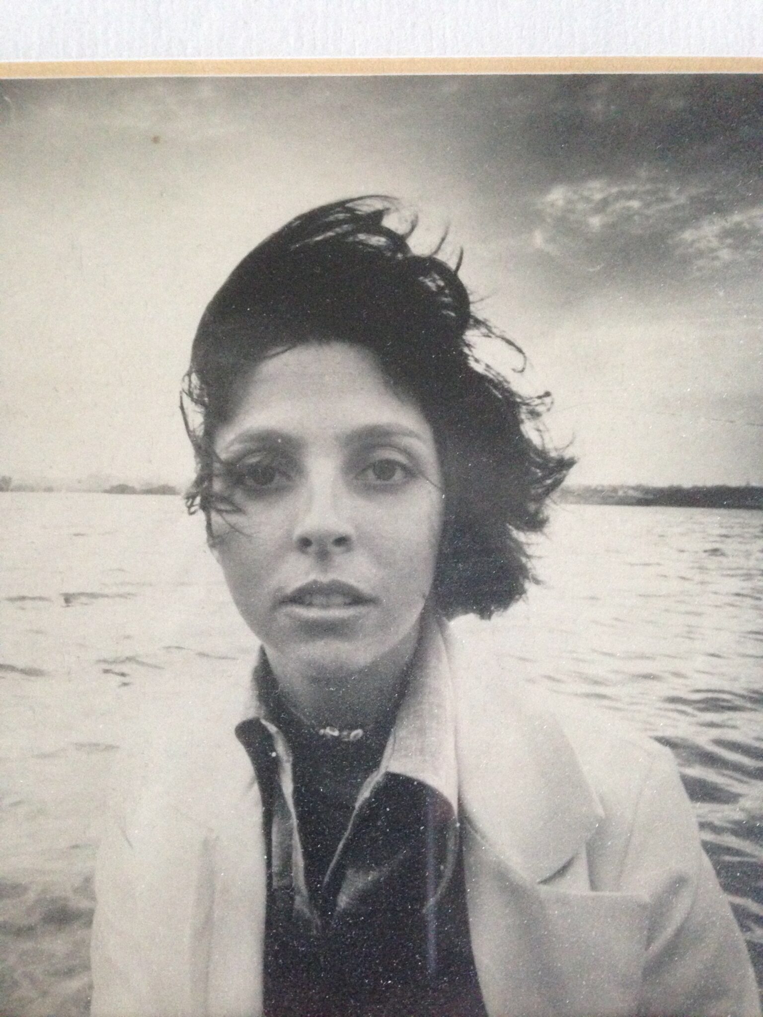 The Animal of a Life by Laurie Stone