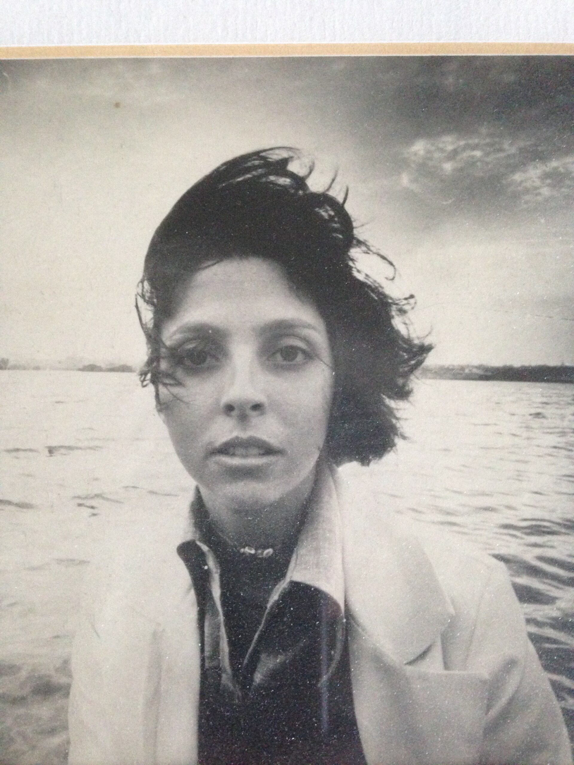 The Animal of a Life by Laurie Stone