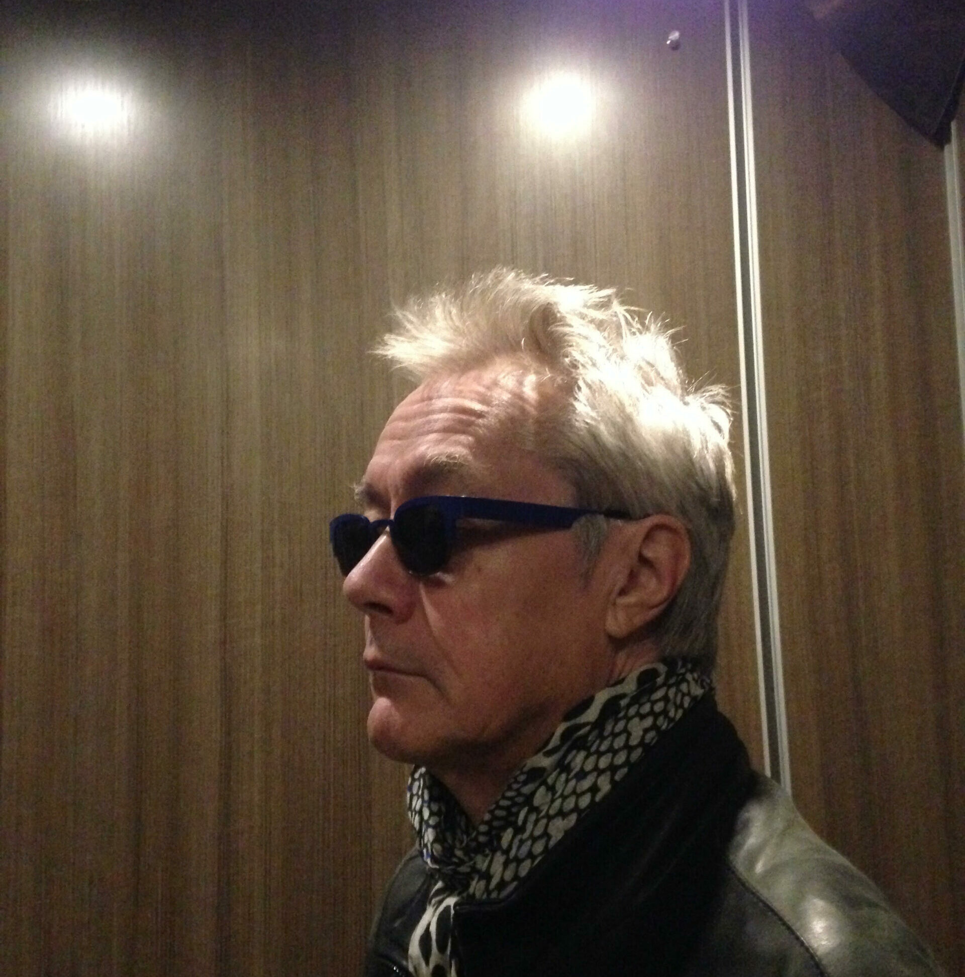 The Animal of a Life by Laurie Stone