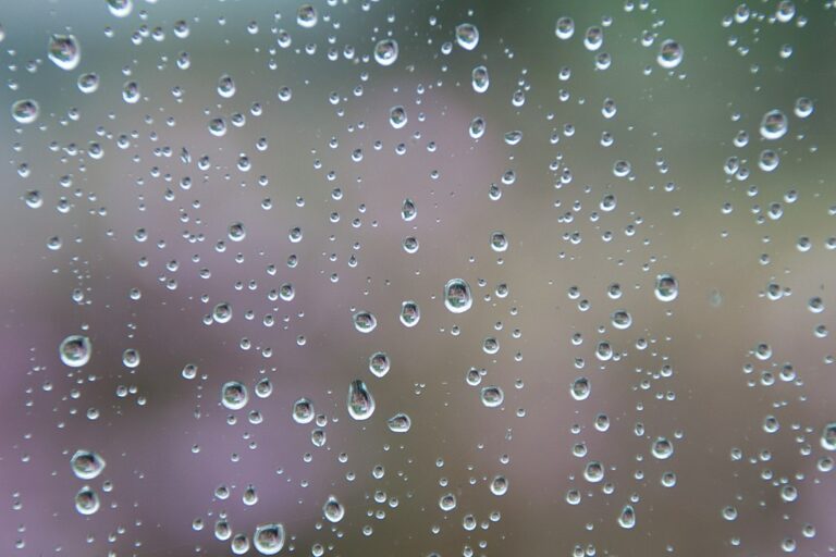 Making of a Poem: D. A. Powell on “As for What the Rain Can Do” by D. A ...