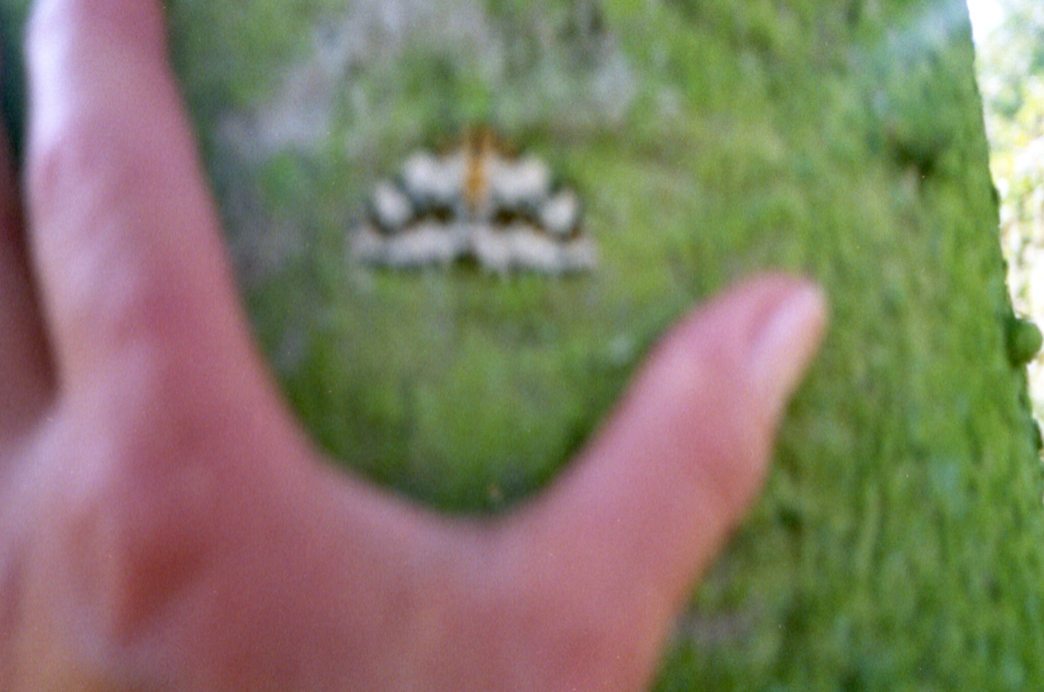 Six Photos from W. G. Sebald’s Albums by Nick Warr