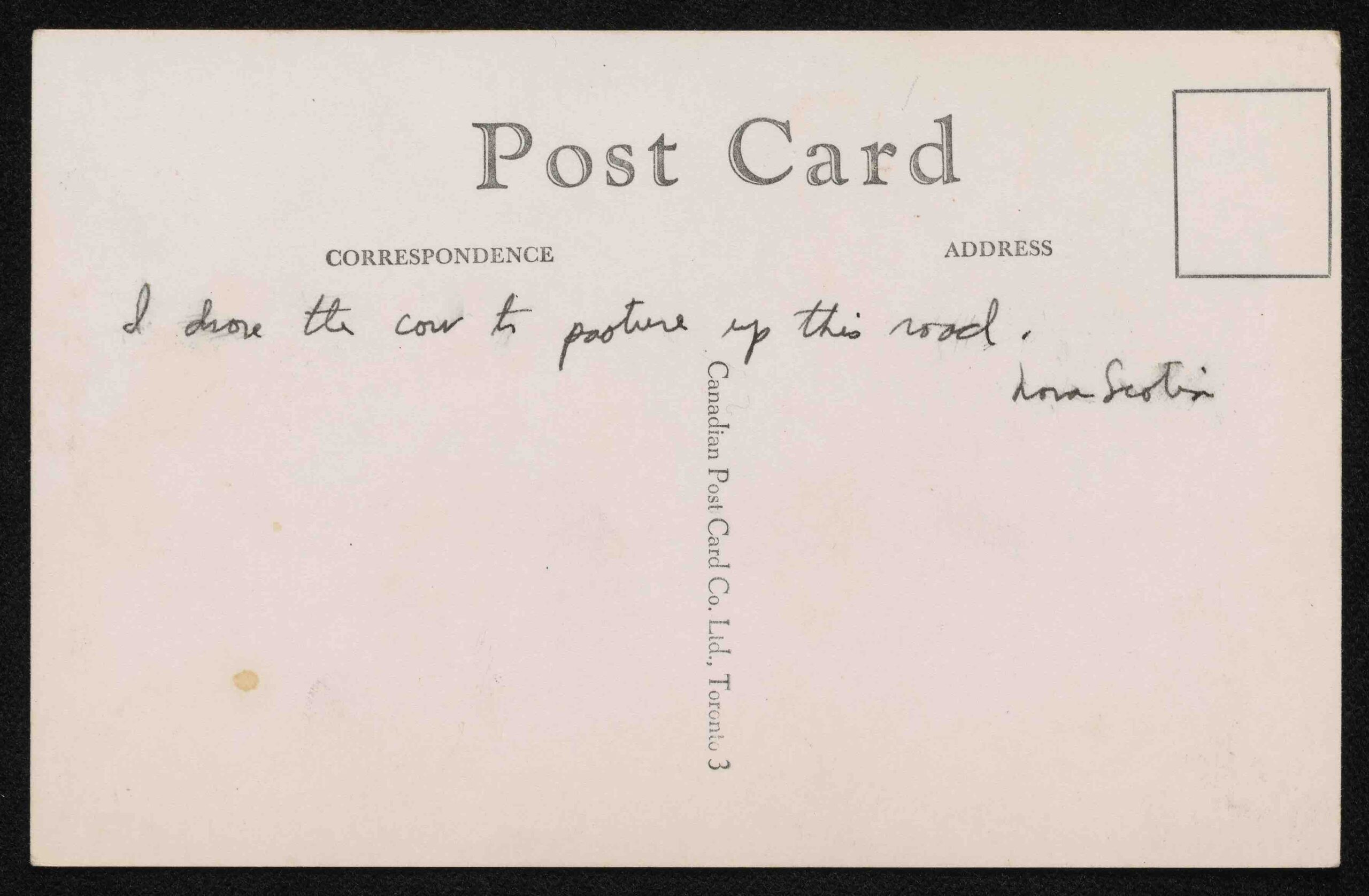 The Paris Review - Postcards from Elizabeth Bishop - The Paris Review
