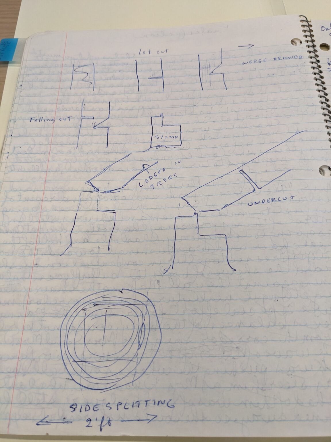 Inside Alice Munro’s Notebooks by Benjamin Hedin