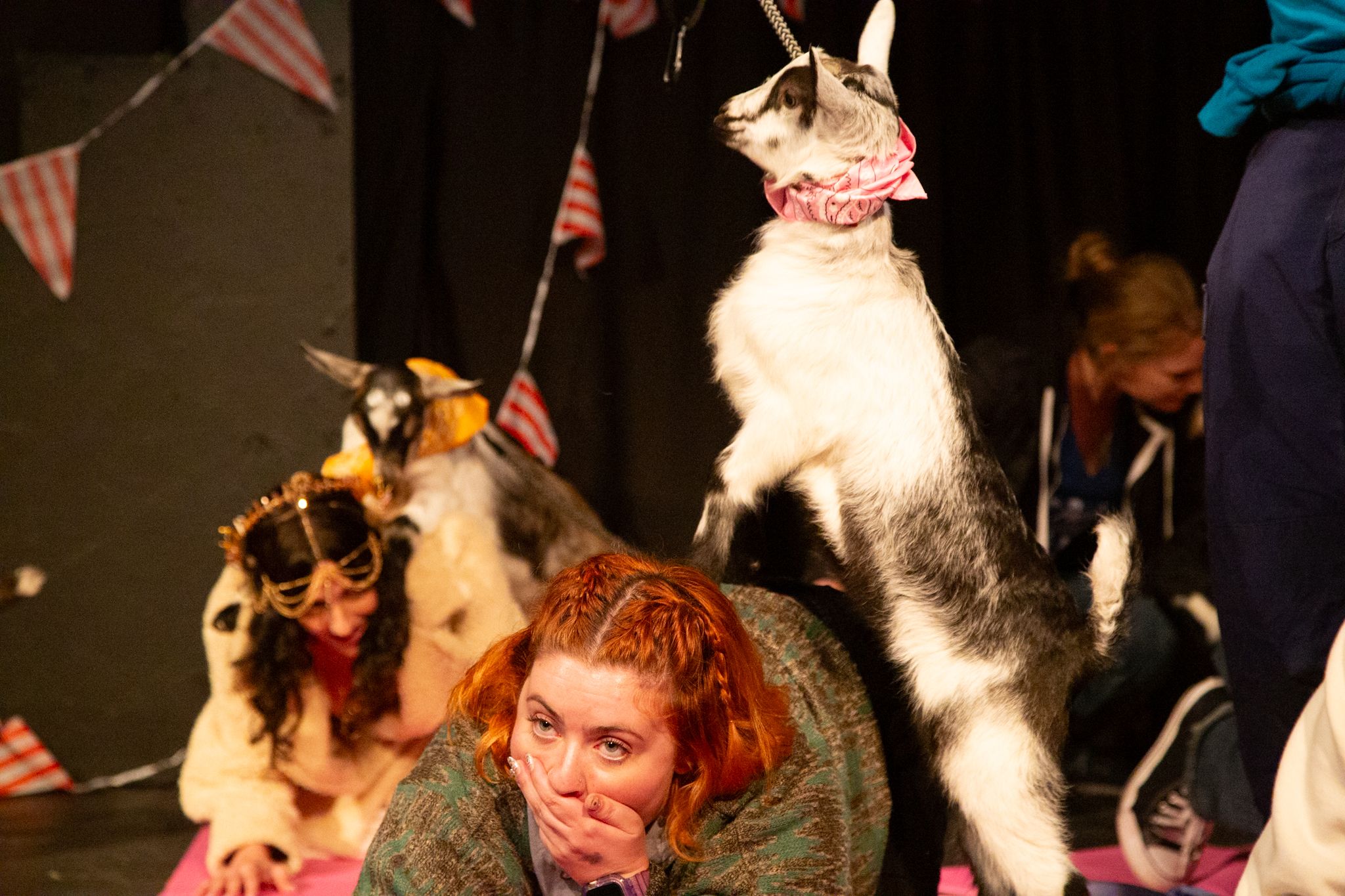 Those That Are Fools: At Clownchella by Rob Goyanes