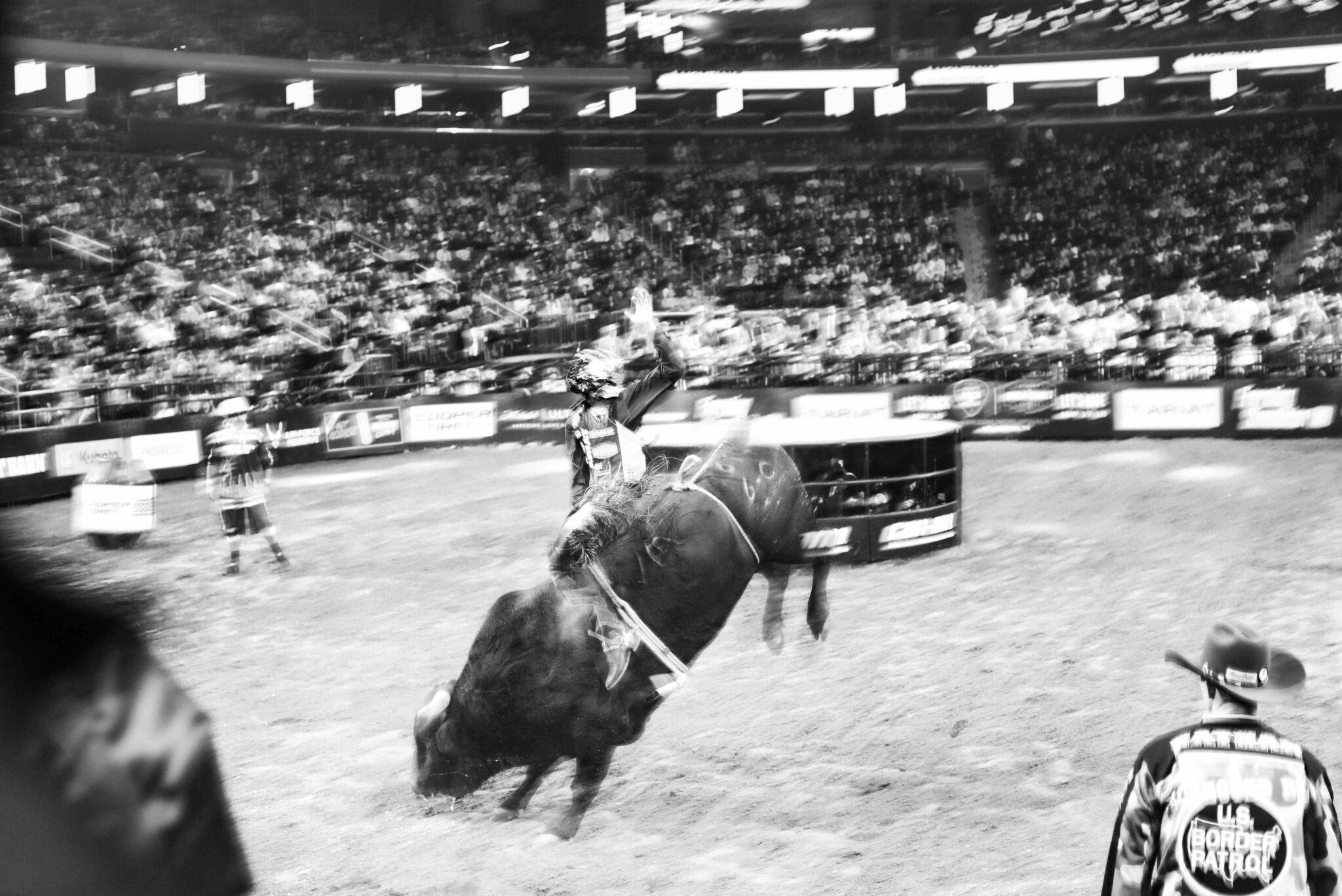 The Tickling of the Bulls: A Rodeo at Madison Square Garden by Jasper ...