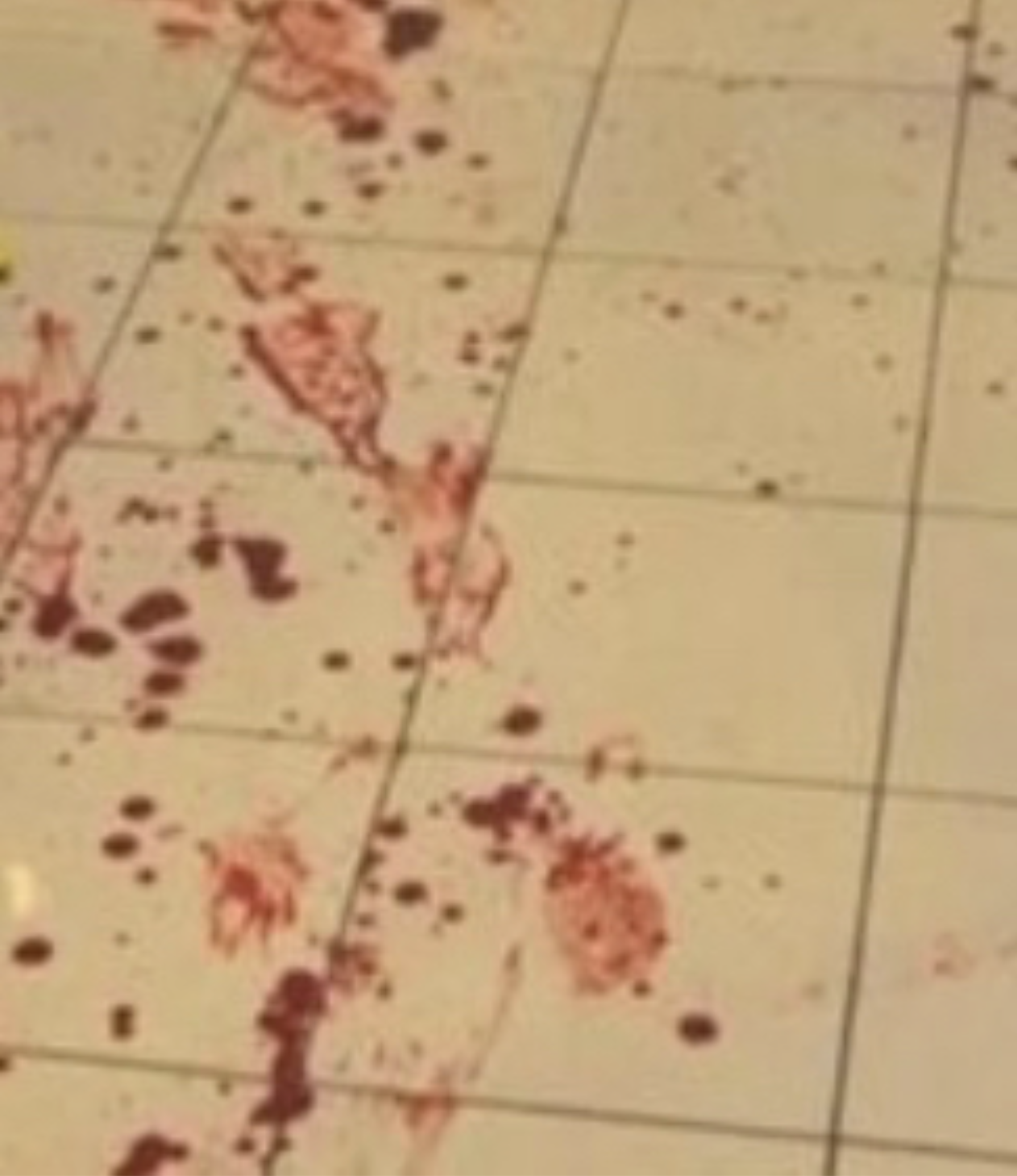 The Ghost of Reem Island by Mo Ogrodnik