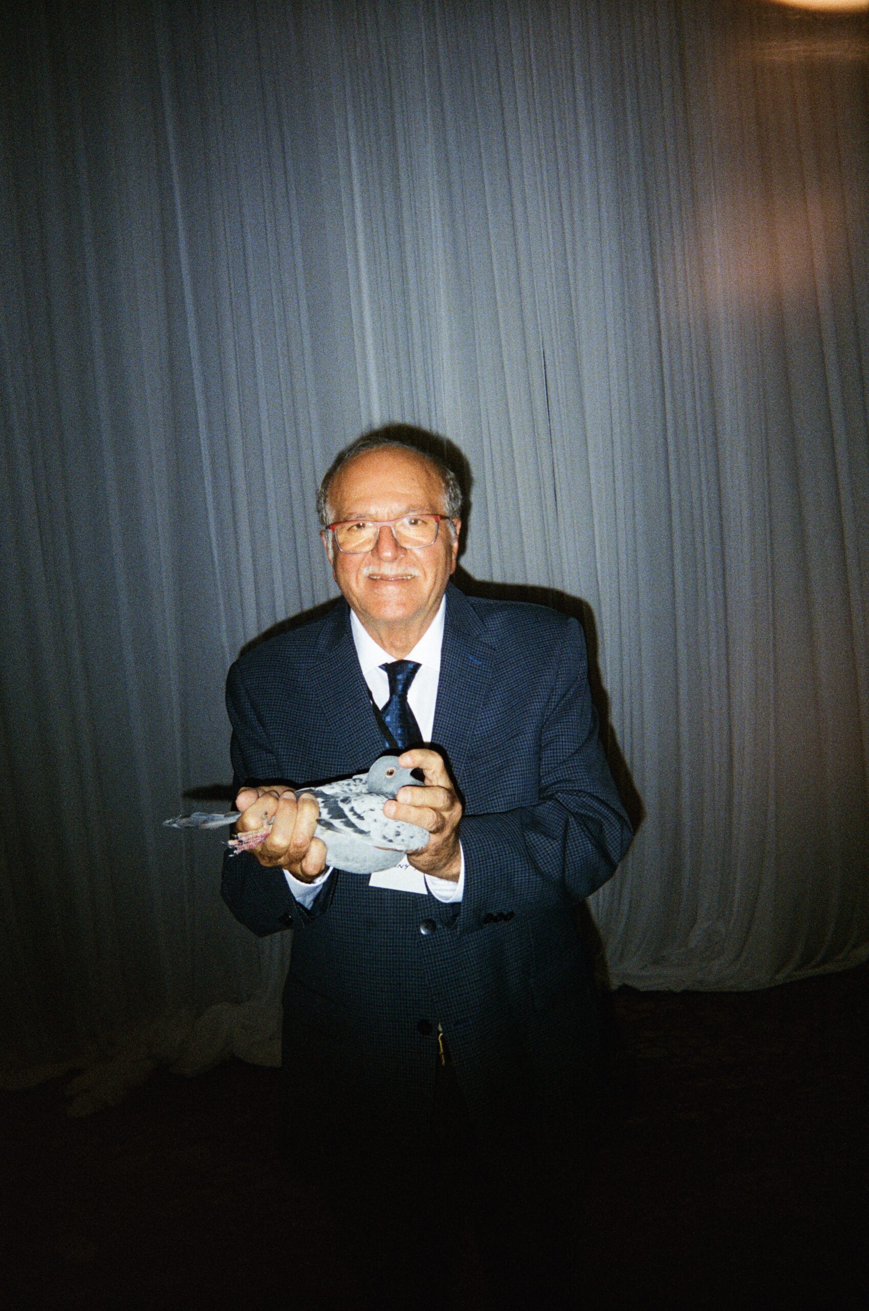 Homeward Bound: On Pigeon Racing by Oliver Egger