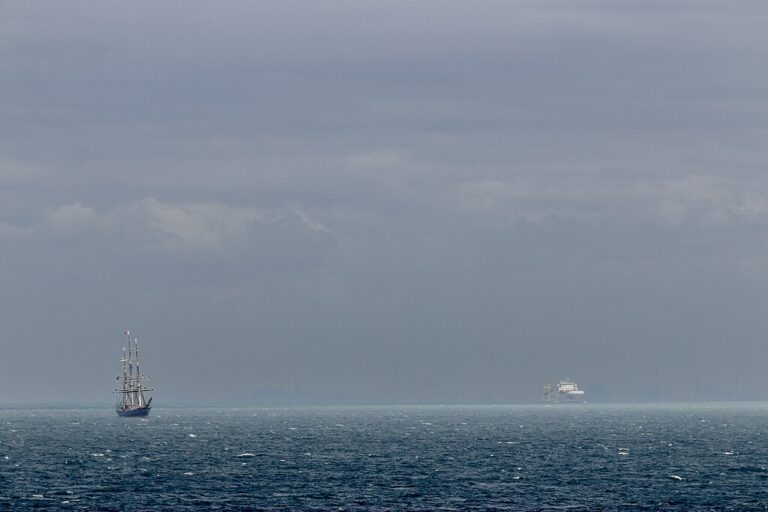 Making of a Poem: Jana Prikryl on “Dover Calais” by Jana Prikryl