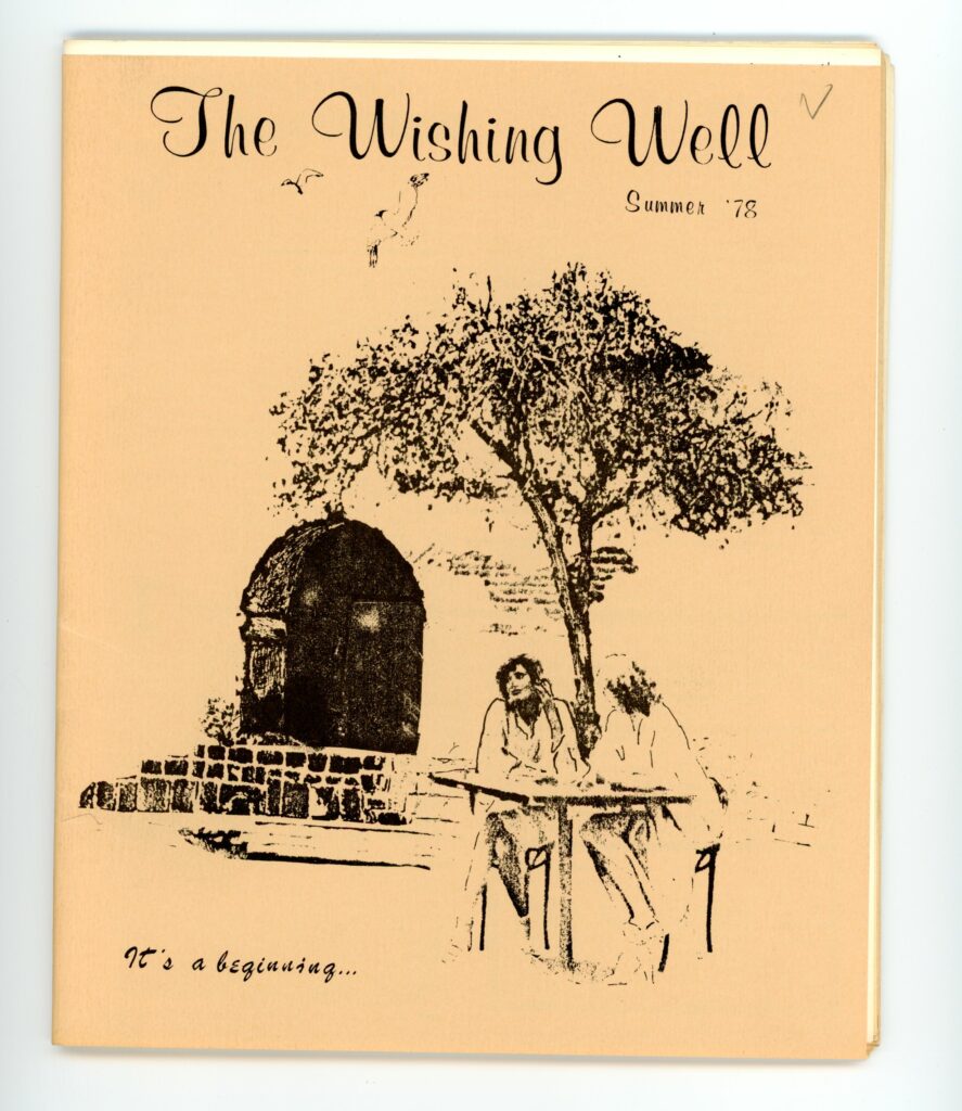 The Wishing Well by Isabelle Appleton