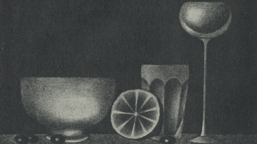 Paris Review - Irreproachable by Marie NDiaye, translated by Jordan Stump
