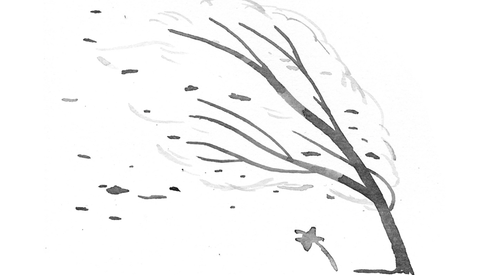 Paris Review - Birth by Tracy Fuad