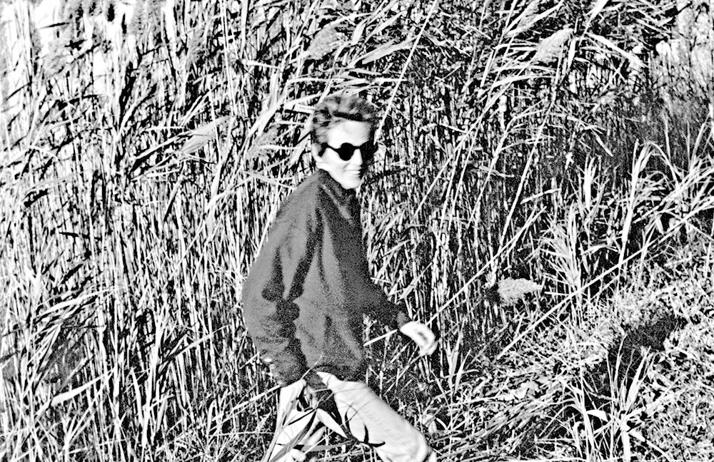 Paris Review - Susan Howe