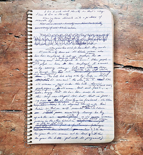 Paris Review - Revising One Sentence by Lydia Davis