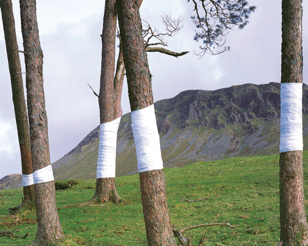 Paris Review - Writers, Quotes, Biography, Interviews, Artists